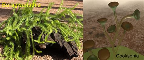 The History Of Life Creatures From The Silurian • Lazer Horse