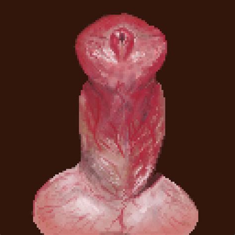 Rule 34 Anatomically Correct Anatomically Correct Genitalia