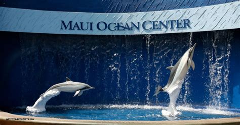 Maui Ocean Center Tickets Maui Aquarium Information