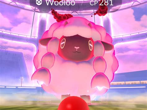 How To Get Dynamax Wooloo In Pokemon Go And Can It Be Shiny
