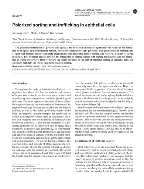 Pdf Polarized Sorting And Trafficking In Epithelial Cells