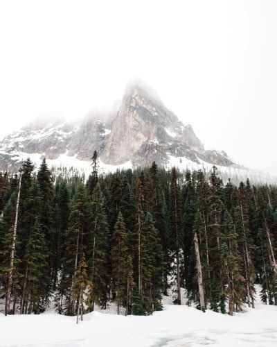Late May In The Pacific Northwest Tumbex