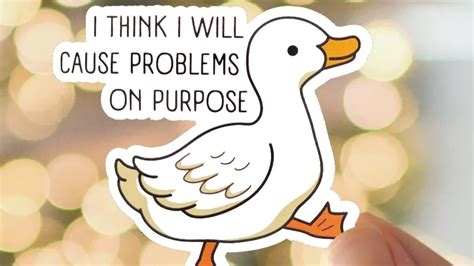 Purpose Or Statement