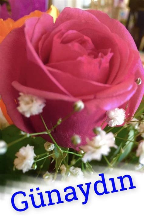 Dla KaŻdego Gunaydin