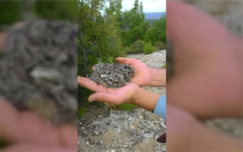 Stop Hunting Think Of Yourself As Motherless And Fatherless When You