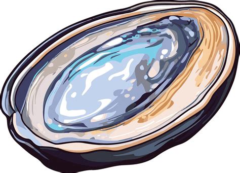 Cuddly Cute Simple Abalone Clipart 52237494 Vector Art At Vecteezy