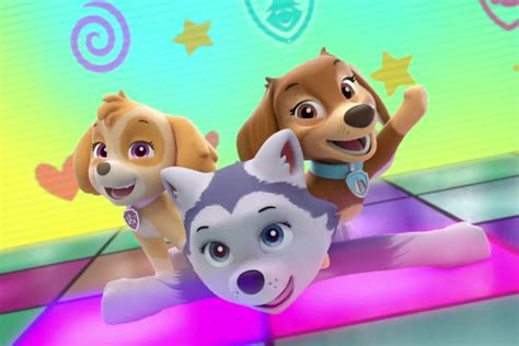 Best 13 Cat Pack Rory Saves Leo And Tracker Paw Patrol Rescue