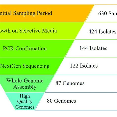 Sampling Results From Initial Sampling To Final Analyses Initial