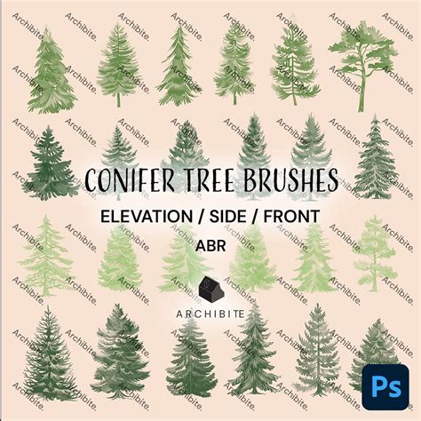 Photoshop Brushes Conifer Tree Elevation Etsy