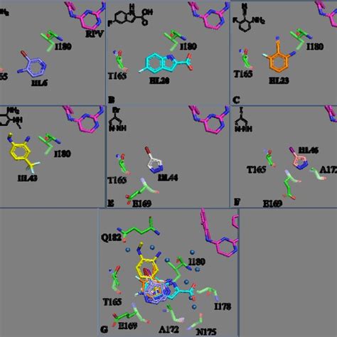 Hiv 1 Reverse Transcriptase Rilpivirine Rt Rpv With Bound Halo