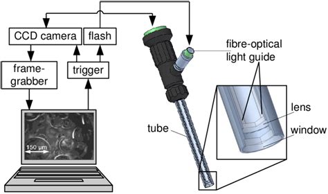 Detail 3d Drawing Of The Endoscope Probe And General Set Up Download