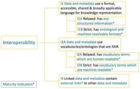 Interoperability Maturity Indicators Fair Toolkit