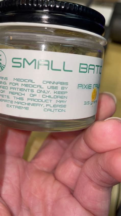 Pixie Crush By Abatin It Hides The Trichomes R Mdents