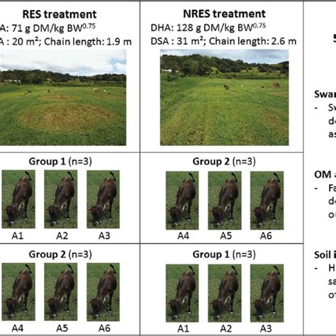 Cross Over Design And Main Measurements Res Restrictive Treatment
