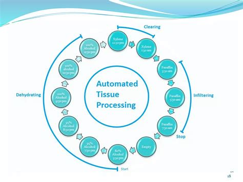 Basic Histopathological Techniquespptx