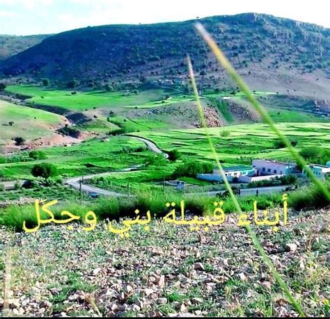 قصيدة اليوم لي الشاعر بالخير لوكيلي عن الأم الام