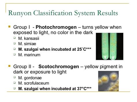 Website Mycobacteriology 2017 Update