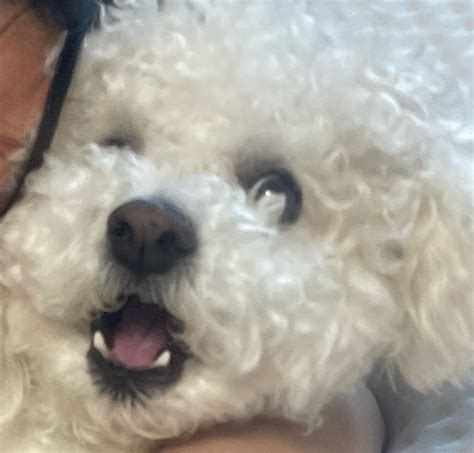 [next js] getstaticprops는 페이지 컴포넌트에서만 동작한다