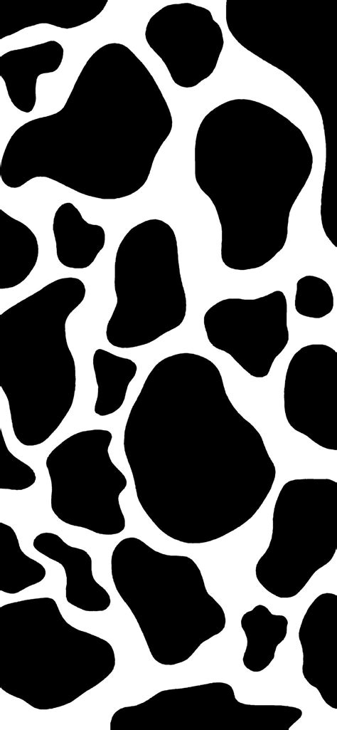 Black And White Cow Print Wallpapers Top Free Black And White Cow