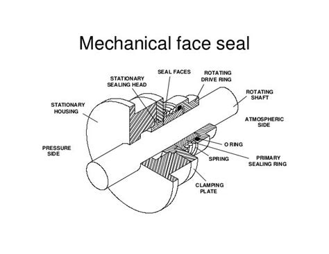 Chapter09 Seals