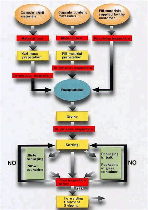 Capsule Manufacturing Process Flow Chart Production Manufacturing