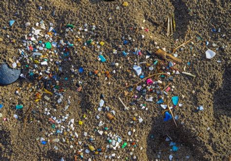 Identifying Microplastics With An Nir S Spectral Evolution