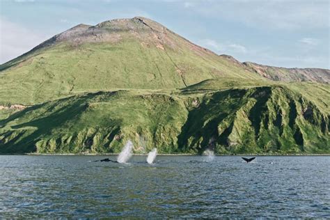 Your Guide To Exploring The Aleutian Islands Travel Alaska