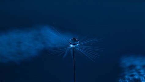 รูปภาพflara เลือกดูภาพถ่ายสต็อก เวกเตอร์ และวิดีโอ496 Adobe Stock