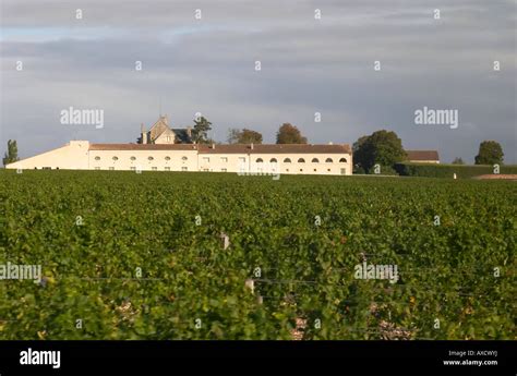 Vineyard Winery Building Winery And Vineyards At Chateau Mouton