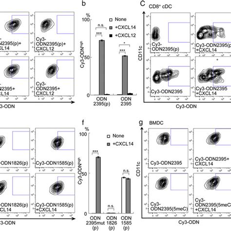 Sequences And Structures Of Cpg Odns Download Table