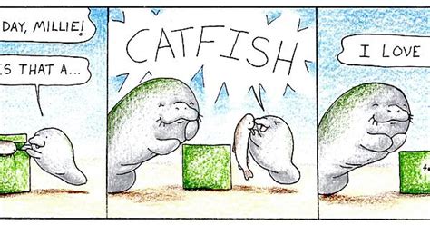 Man Vs Manatee Album On Imgur