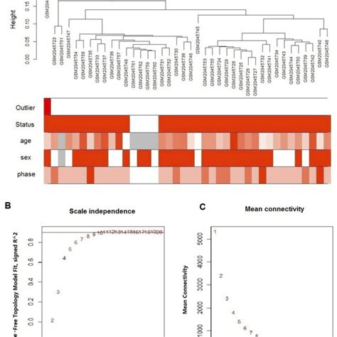 Construction Of Co Expression Modules Using Wgcna A Cluster