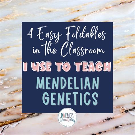 4 Easy Foldables In The Classroom I Use To Teach Mendelian Genetics