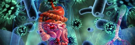 Fmt For C Diff Infection In Adults Gastroenterology And Endoscopy News Posted On The Topic