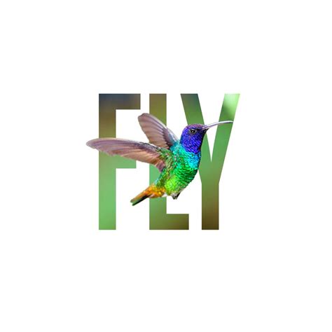 Graphicdesign Typographyart Creativedesign Photoshopart… Fiza Batool