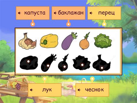 Найди тень овощи Labelled Diagram