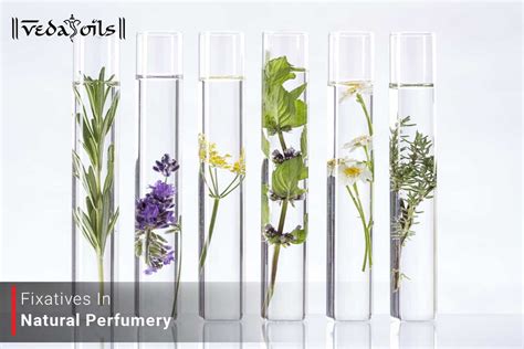 Natural Fixative Perfume Fixatives And Their Function In Natural