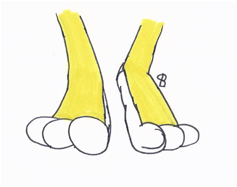 Bunnies Feet By Spaton37 On Deviantart