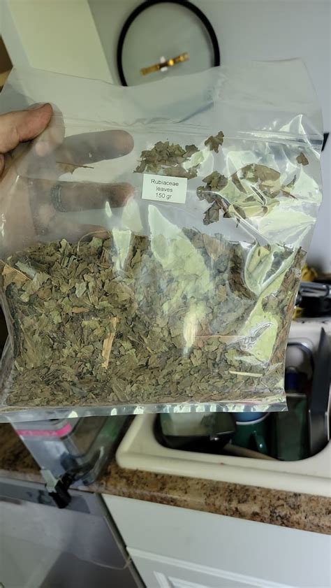 Is Thus Chacruna Rayahuasca