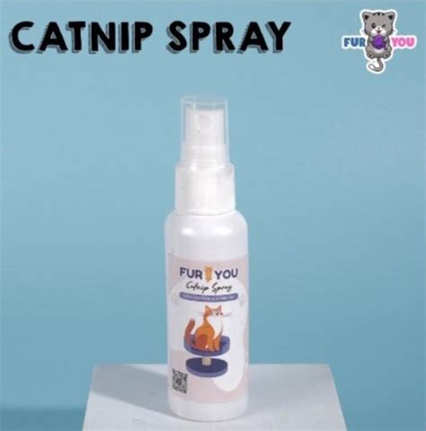 Catnip Spray Lazada Indonesia