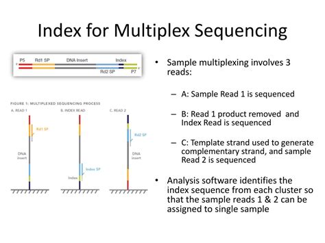 Ppt Genome Biology For Programmers Lecture Series Illumina