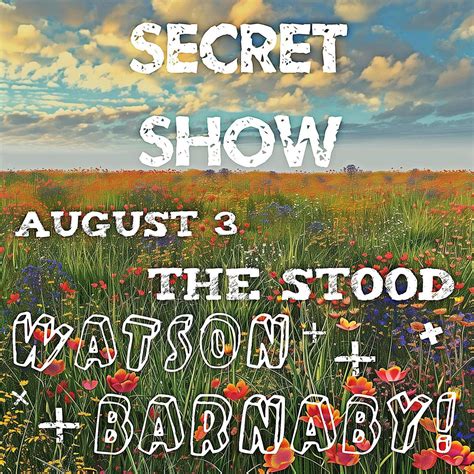Watson Barnaby Secret Show At The Stood The Kube Art Center Beacon 3 August 2024