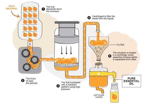 Top 6 Essential Oil Extraction Methods You Should Know