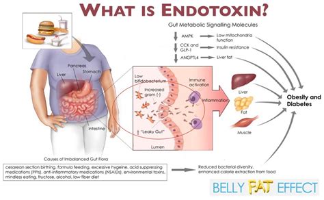 The Weight Loss Industry Is Going To Hate Me For Saying This You