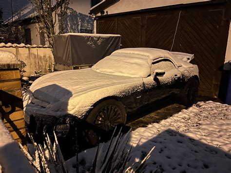 Looks A Little Bit Like A Viper But Surely Isn‘t One Anyone Got An