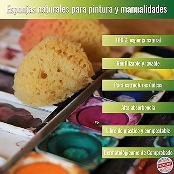 Muestras De Colores Para Pintar Paredes Con Esponja