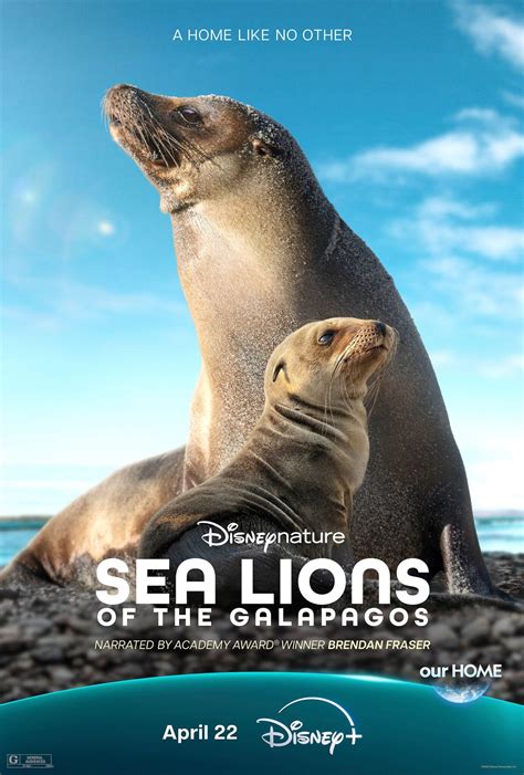 Disneynatures Sea Lions Of The Galápagos Watch The Trailer The