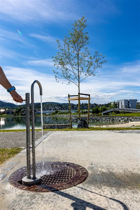 Grilstad Marina Badeplass Asplan Viak