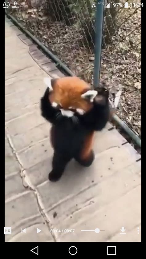 Is There A Way To Mute Apps From The Taskbar Easily Rwindows10