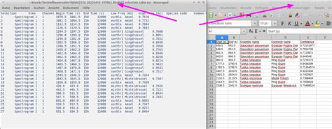 Difference To Birdnet Lite · Issue 22 · Birdnet Teambirdnet Analyzer · Github